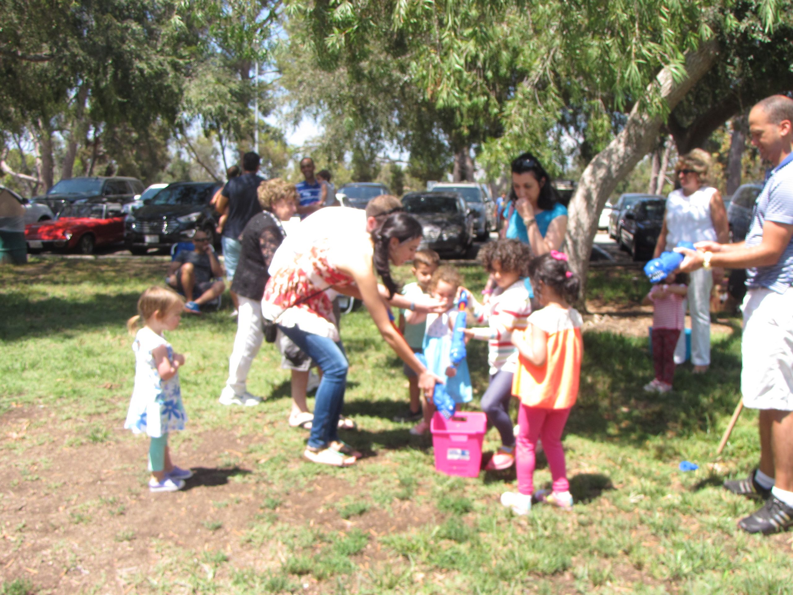 Gallery – Picnic 2015 – Sephardic Temple Tifereth Israel